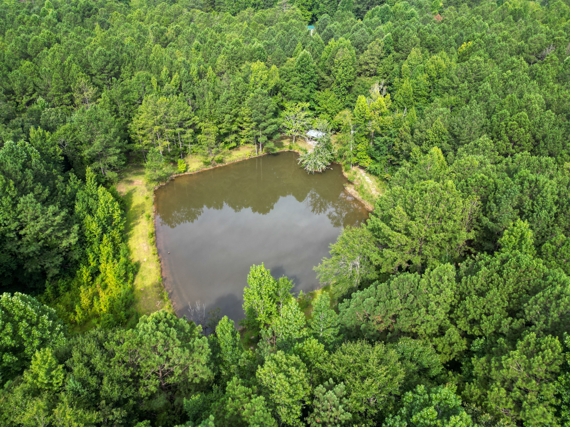SOLD! Hunting Land 40+/- ac W/Pond - Southeastern Land Group SOLD! Hunting Land 40+/- ac W/Pond - Southeastern Land Group